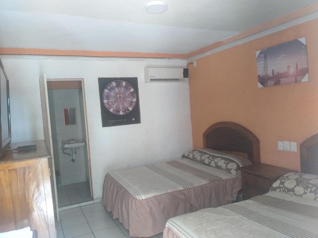Hotel Rio Colima – The besth hotels